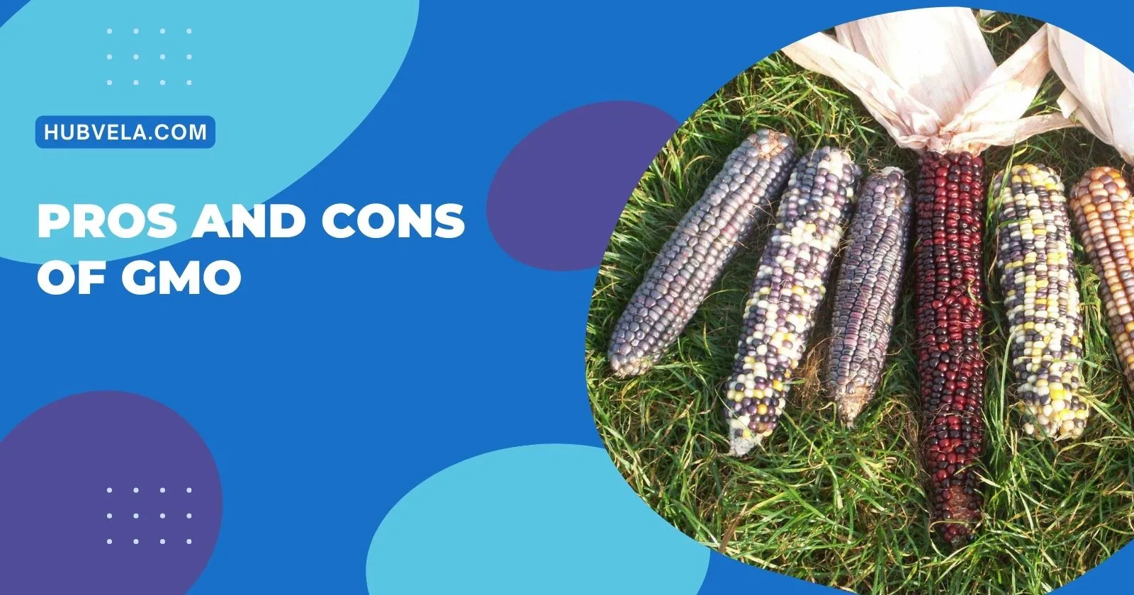 10+ Pros and Cons of GMO » Hubvela